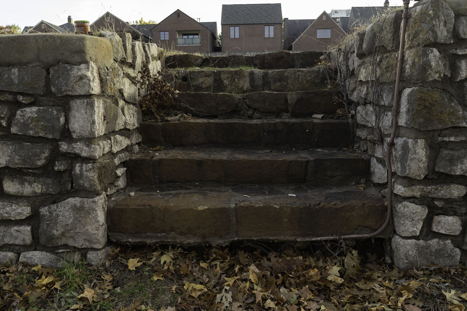 Tammy Mercure – photography & writing